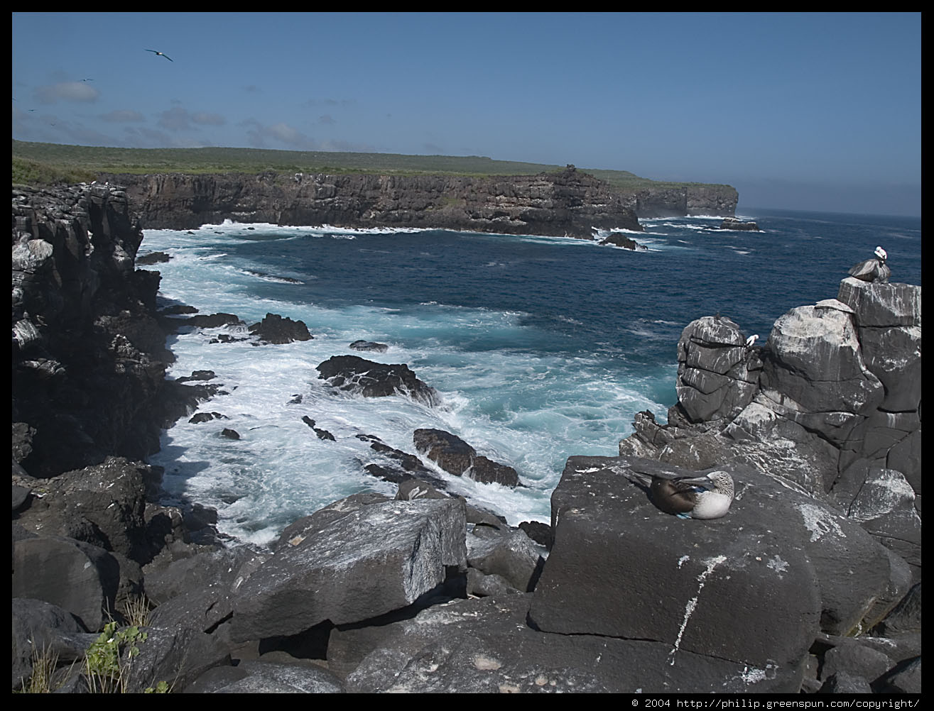 Photograph by Philip Greenspun: lava-cliffs-4
